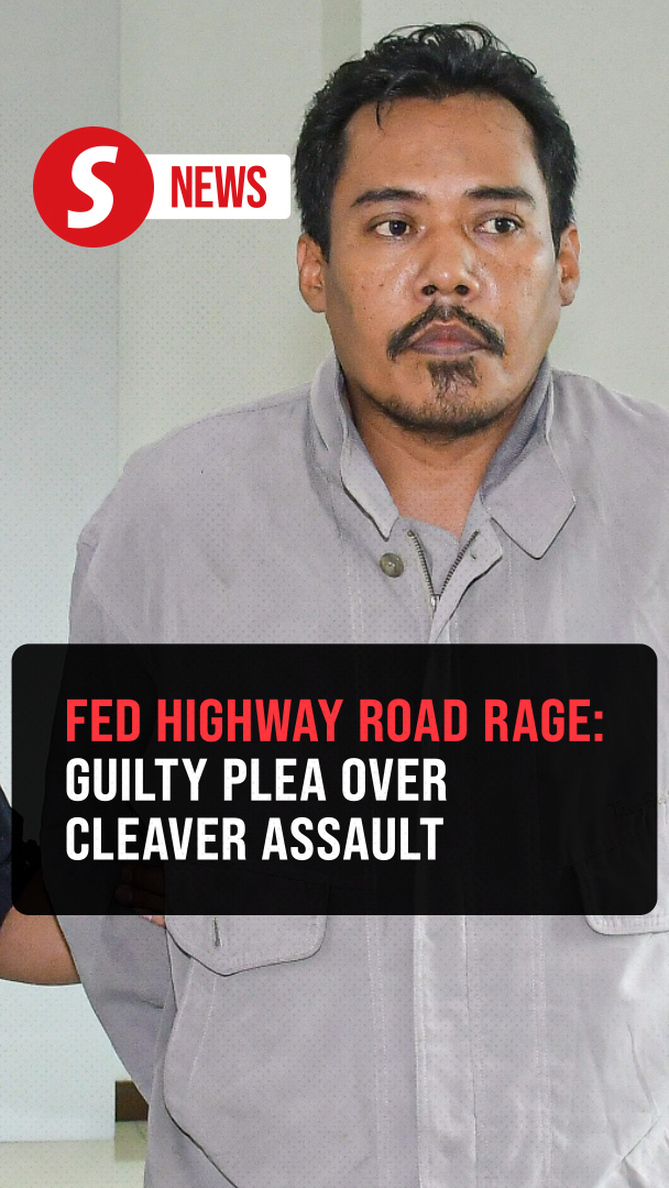 Salesman pleads guilty to meat cleaver attack on motorcyclist along ...