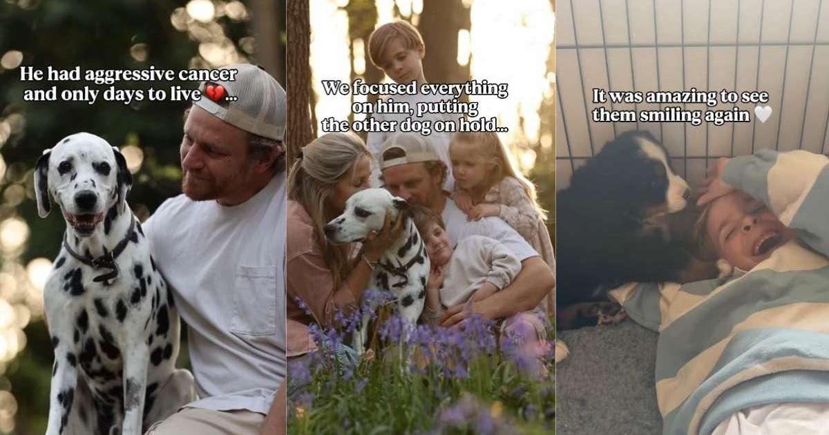Late dog sends family a new ray of hope in the best possible way