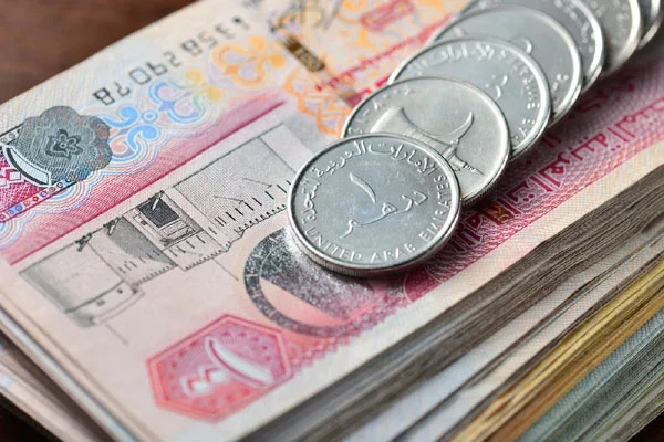 UAE launches new framework for public financial management
