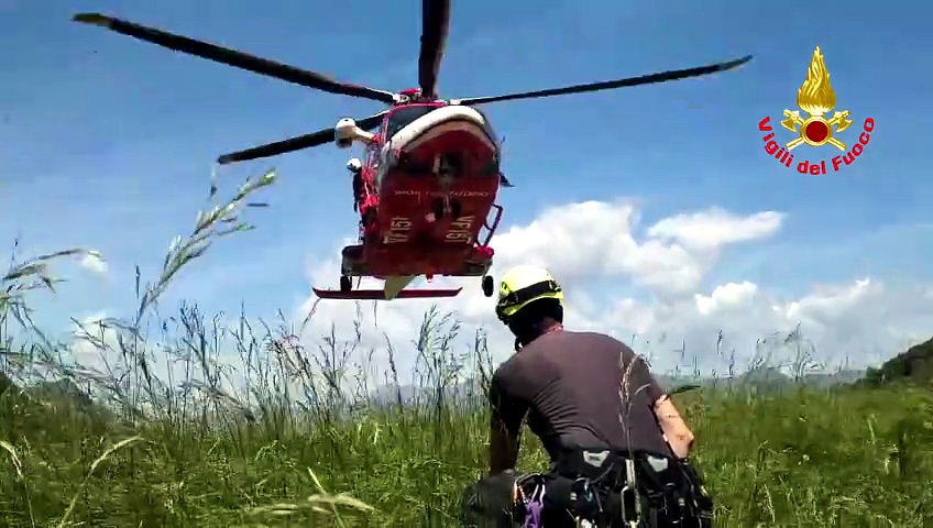 Drago, il puledro salvato dai vigili del fuoco: ora si chiama come il ...