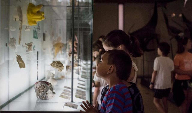 Tenerife abre sus museos a los animales de compañía, una iniciativa en ...