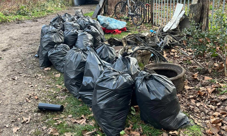 Do-gooder barrister who cleaned up rubbish-infested river is probed by ...