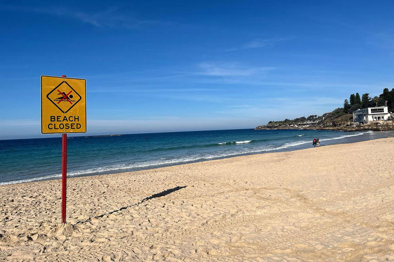 ‘Loving’ mom attacked by shark during morning swim remains on life ...