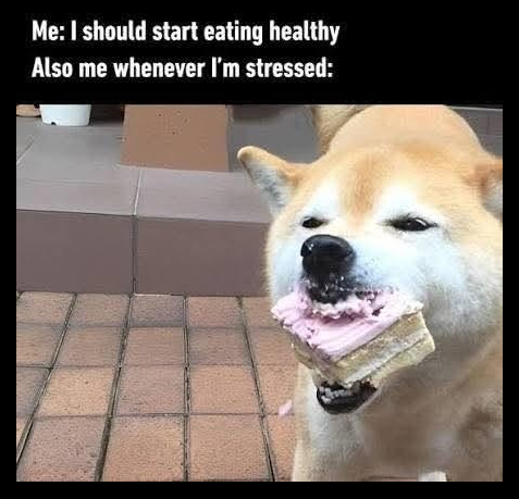 23 Sweet Animal Memes That Add Cutness to Your Morning Cup of Coffee