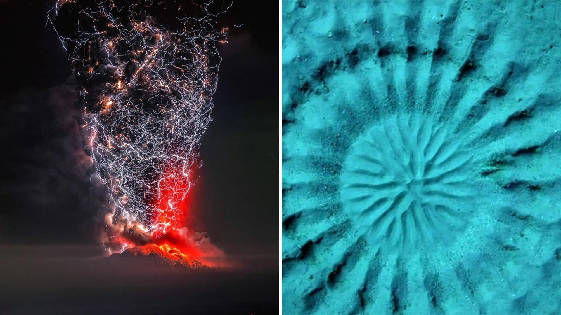 Natural events so rare most people never see them