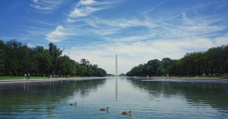 Trump blames Obama after the $14M 'blue' reflecting pool turns green