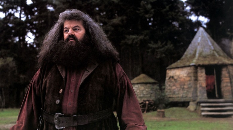 Was Harry Potter's Hagrid a Death Eater? A bonkers Reddit theory explained