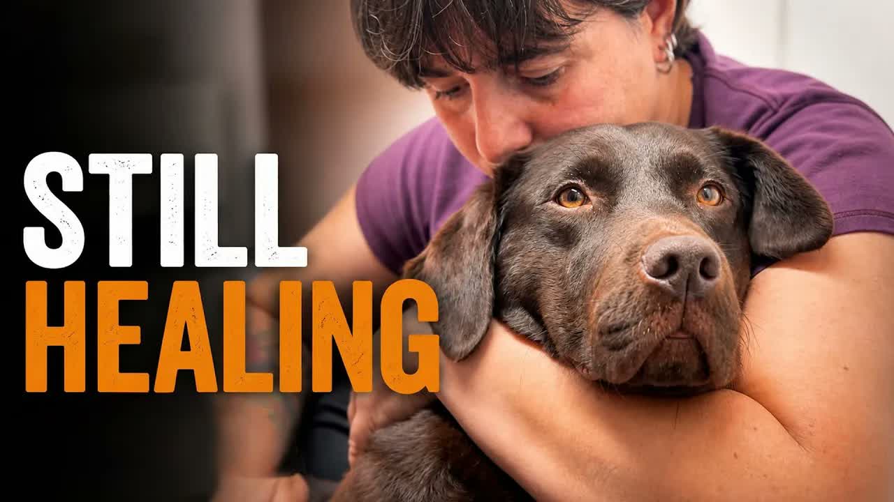 Once fearful dog learns joy again - and she finds her forever family