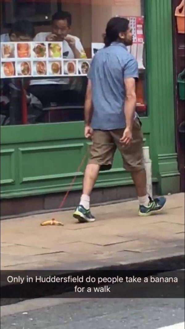 Pics of people having a rough time with their logical thinking