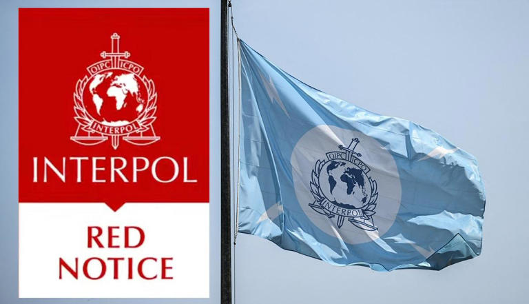 Interpol red notice issued vs. MFT Group's Maria Francesca Tan, says SEC