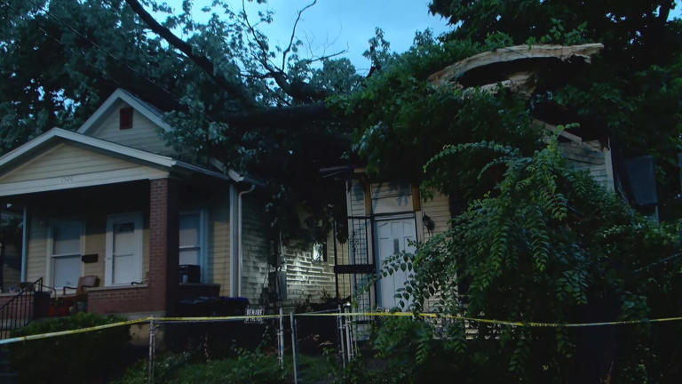 Louisville family wakes up to find tree in their living room