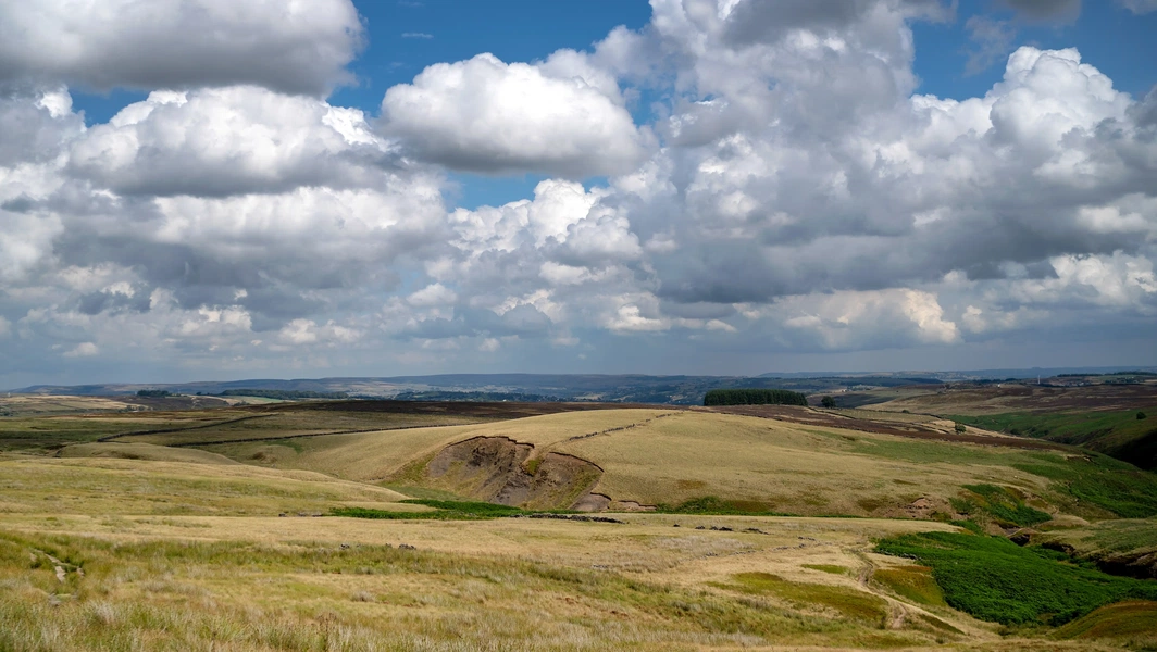 Emily Brontë’s life, work, and lasting legacy