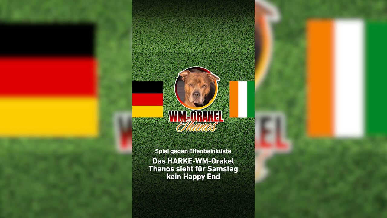 WM-Orakel Thanos tippt das Spiel Deutschland gegen Ellfenbeinküste