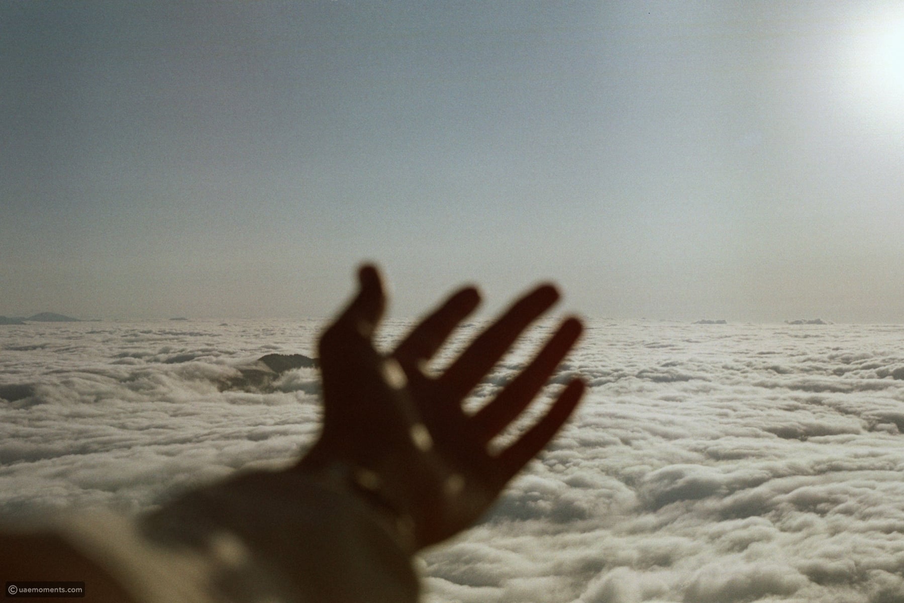 10 common dreams and what they may reveal about your mind