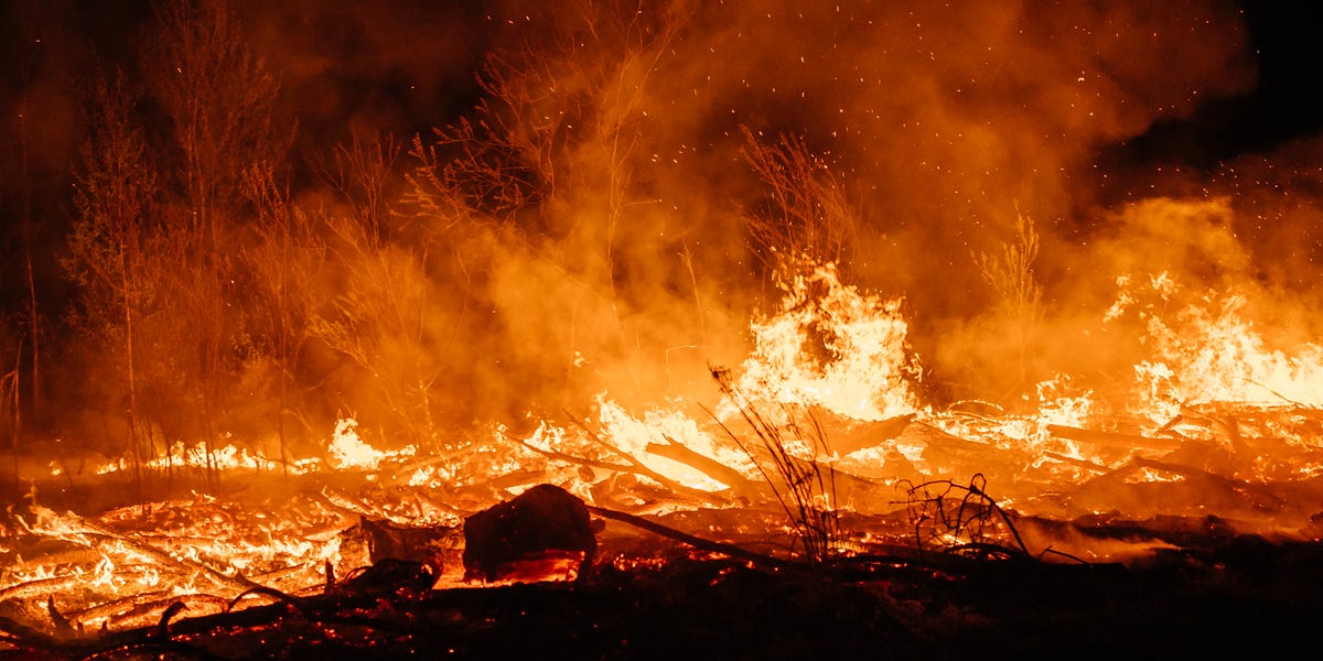 An 1871 brush fire turned into the deadliest blaze in US history. It ...