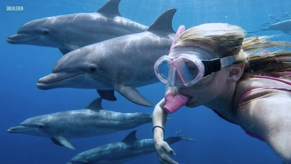 Zwei Delfine zogen ein 10-jähriges Mädchen unter Wasser - dann griffen ...