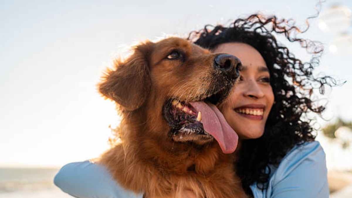 12 beautiful signs that your dog feels deeply loved, emotionally secure ...
