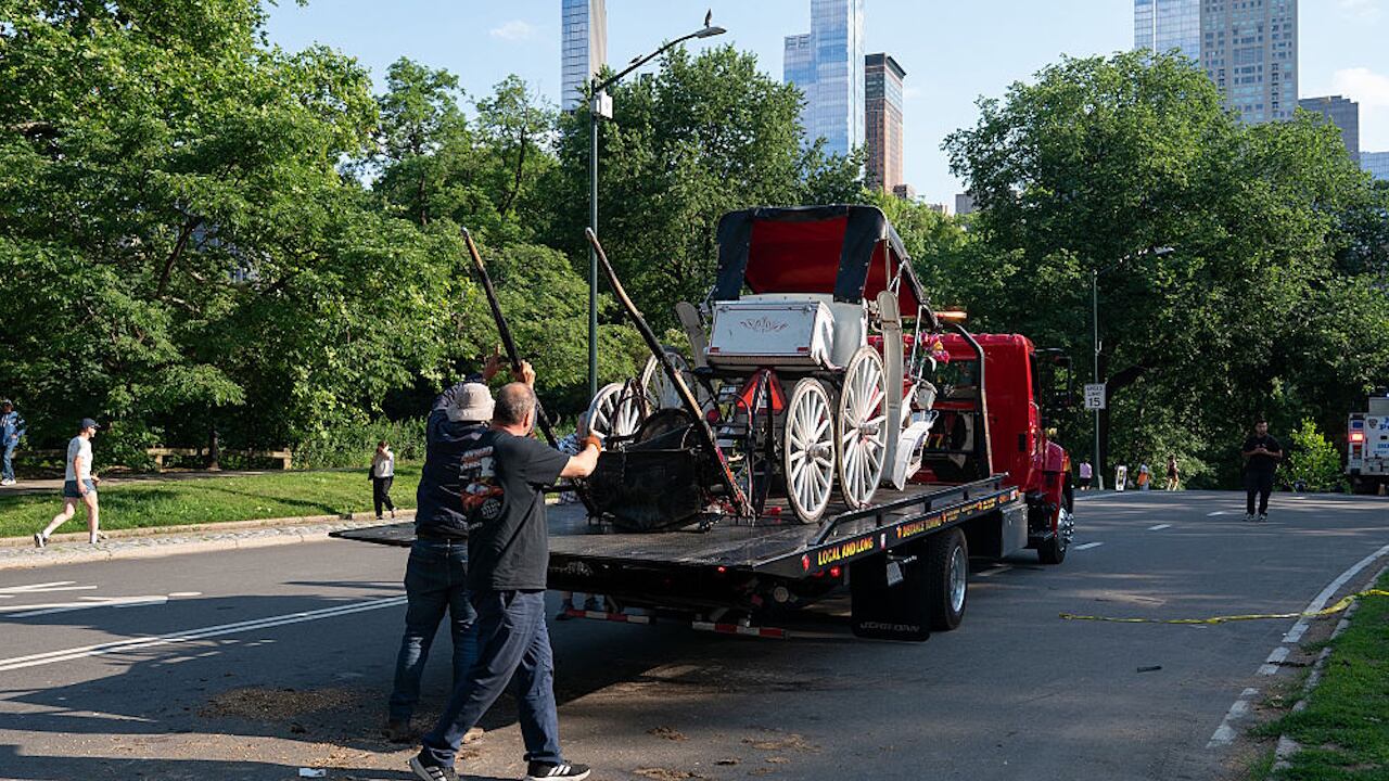 Teen dies after falling from horse-drawn carriage in NYC’s Central Park
