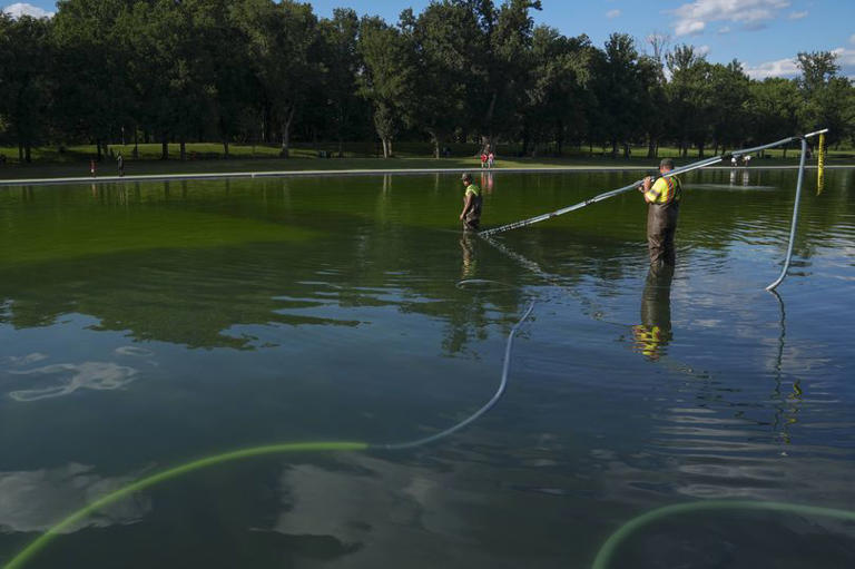 Donald Trump's green reflecting pool gains hilarious MAGA nickname