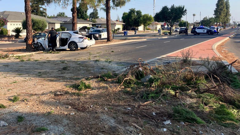 Major injuries after crash into tree