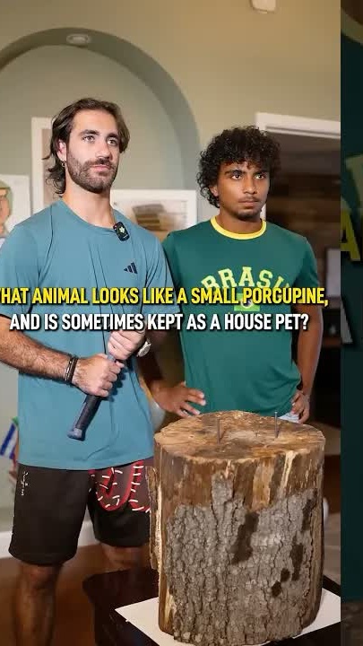 Hammer time trivia challenge!