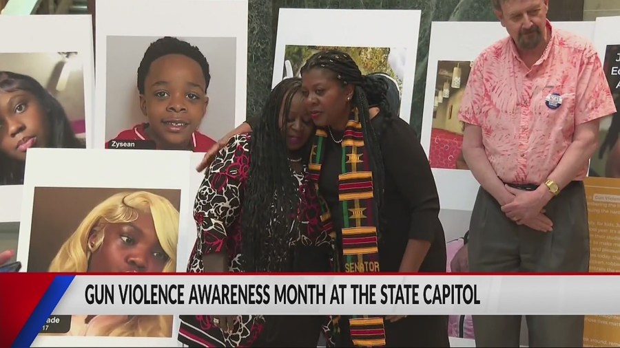 Wisconsin State Capitol filled with memorials for gun violence awareness