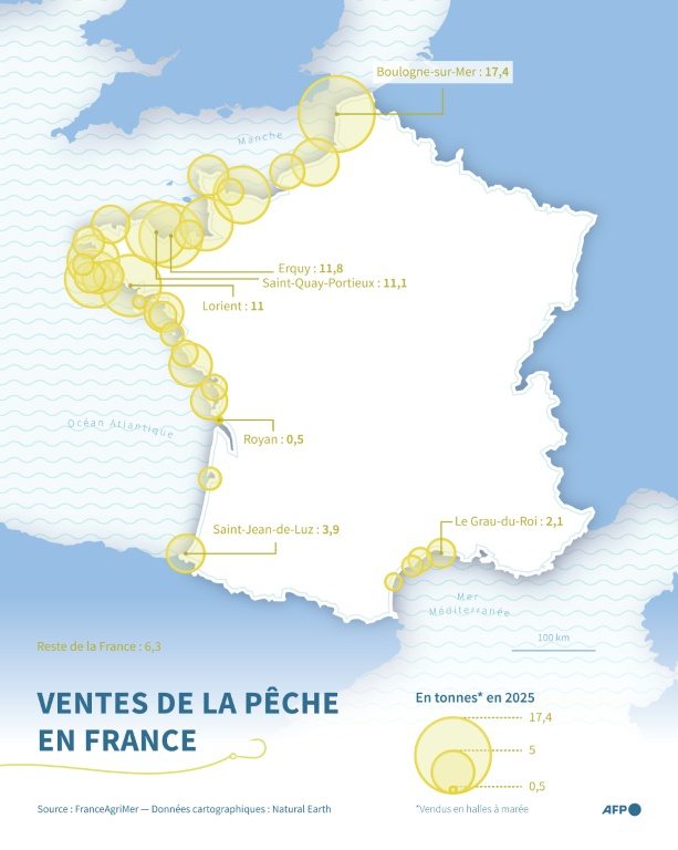 Pour protéger les dauphins, nouveau mois sans pêche en 2027 dans le ...