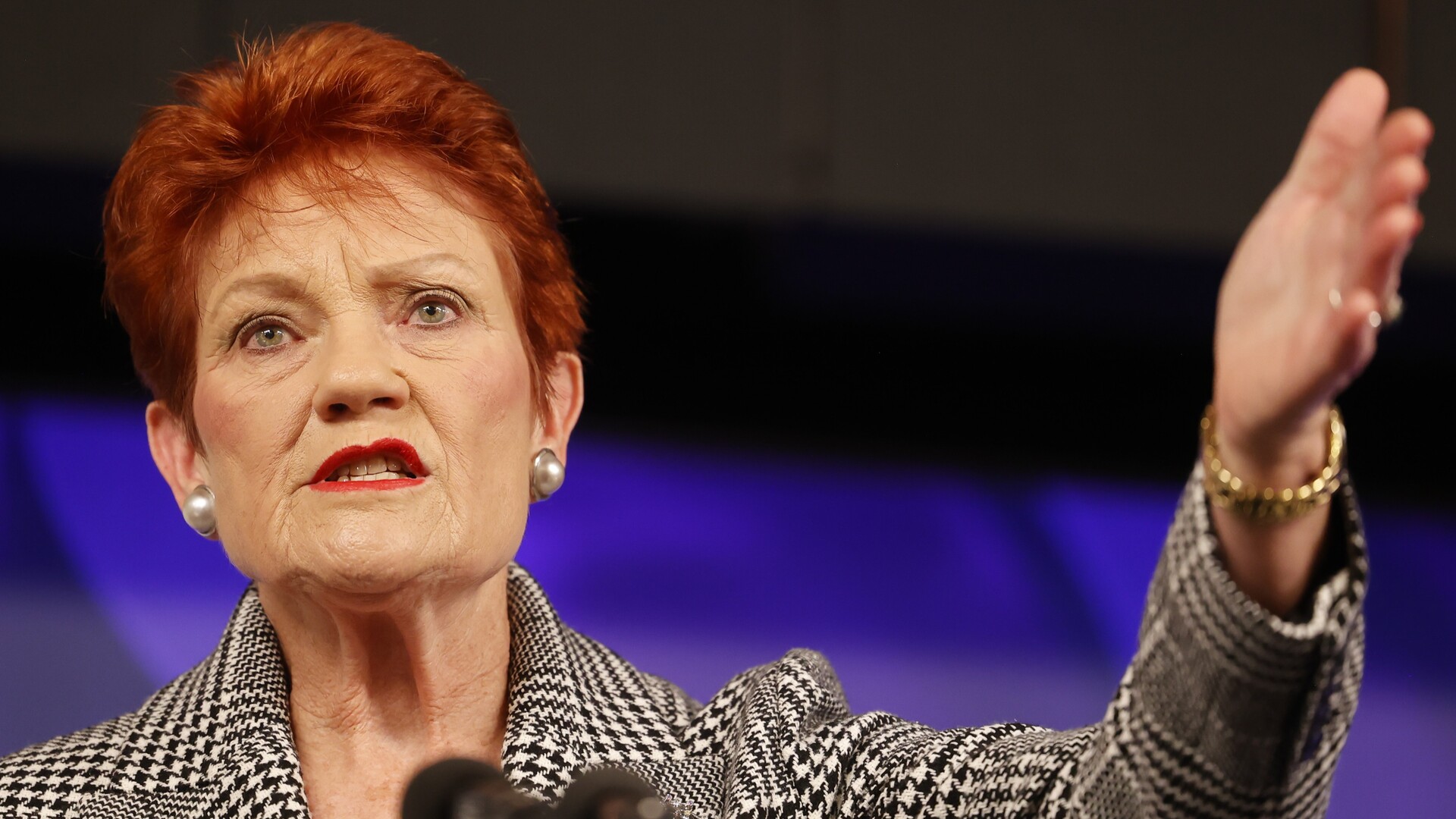 Hanson praised for saying the 'bleeding obvious' on multiculturalism