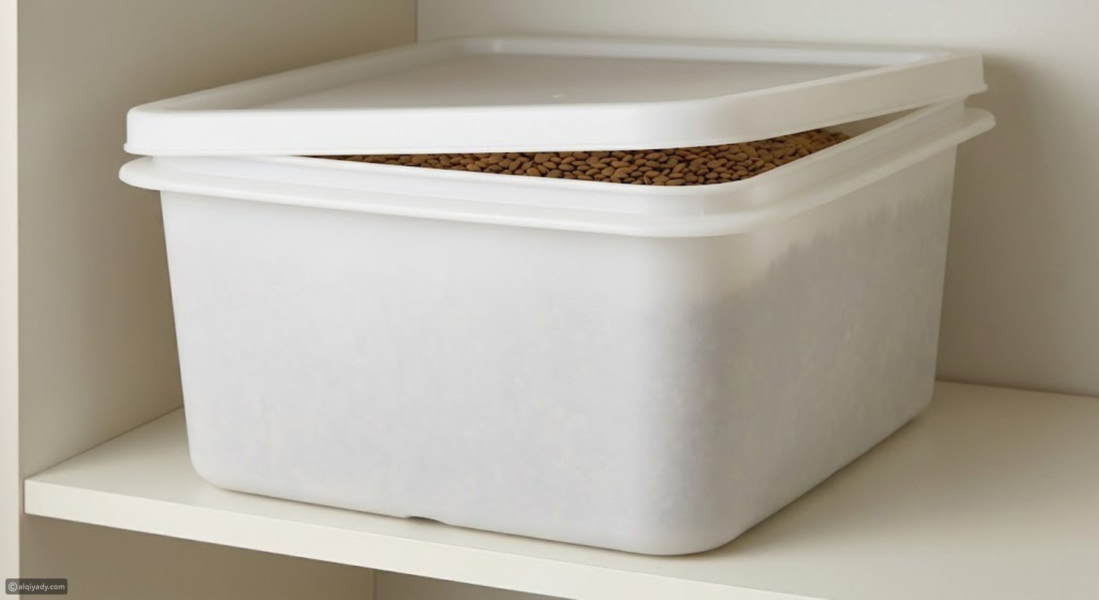 Not all plastic is safe for food storage — these types are the best