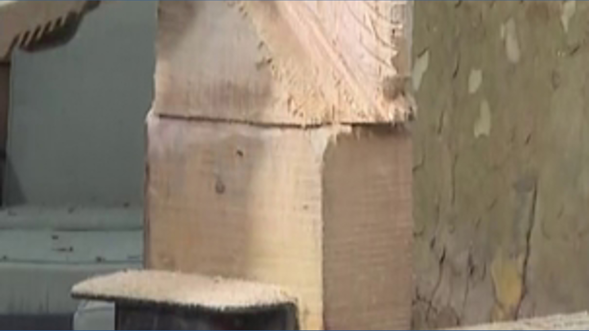 Timelapse: Wood carver transforms block of wood into bird sculpture