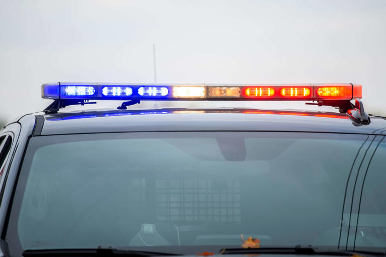 Tree limb falls, kills arborist in southwest Michigan
