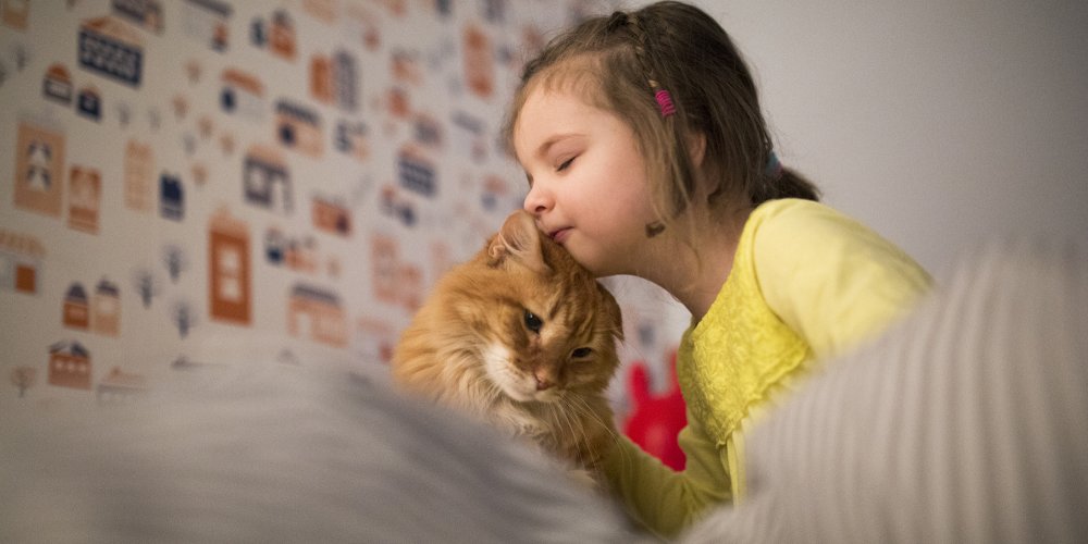 Voici comment le chat choisit sa personne préférée dans la famille