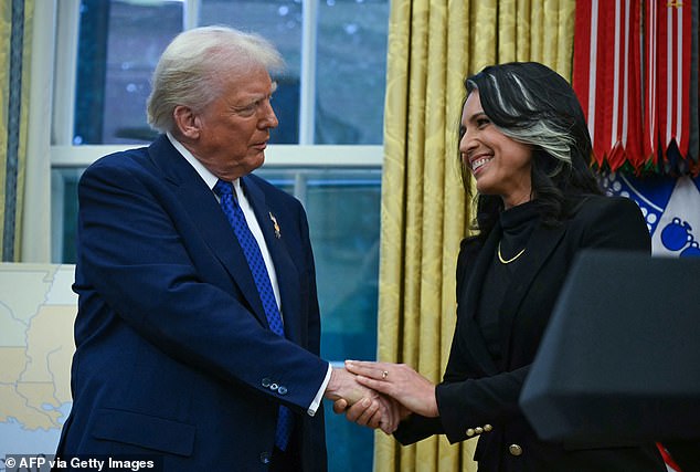 Spy world panic as Tulsi Gabbard prepares to unleash bombshell file dumps