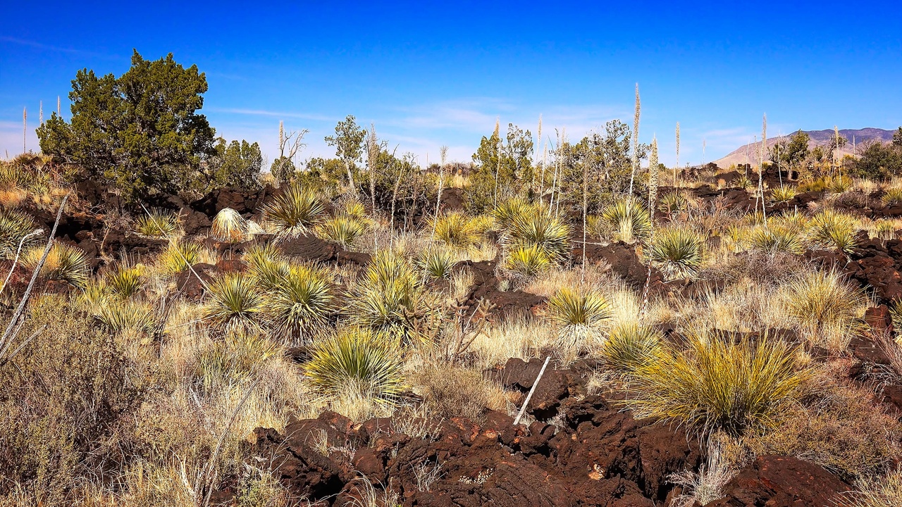 Walk on lava in New Mexico: no volcano tour, no ticket, just open ...