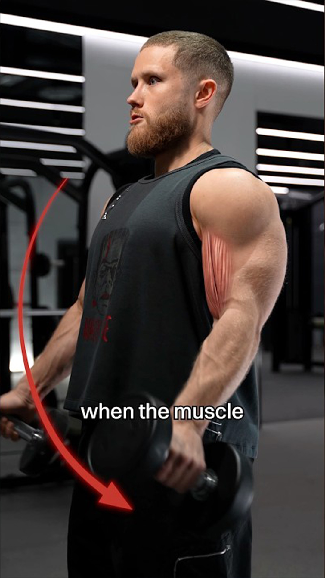 Negative or positive reps: The truth about faster gains