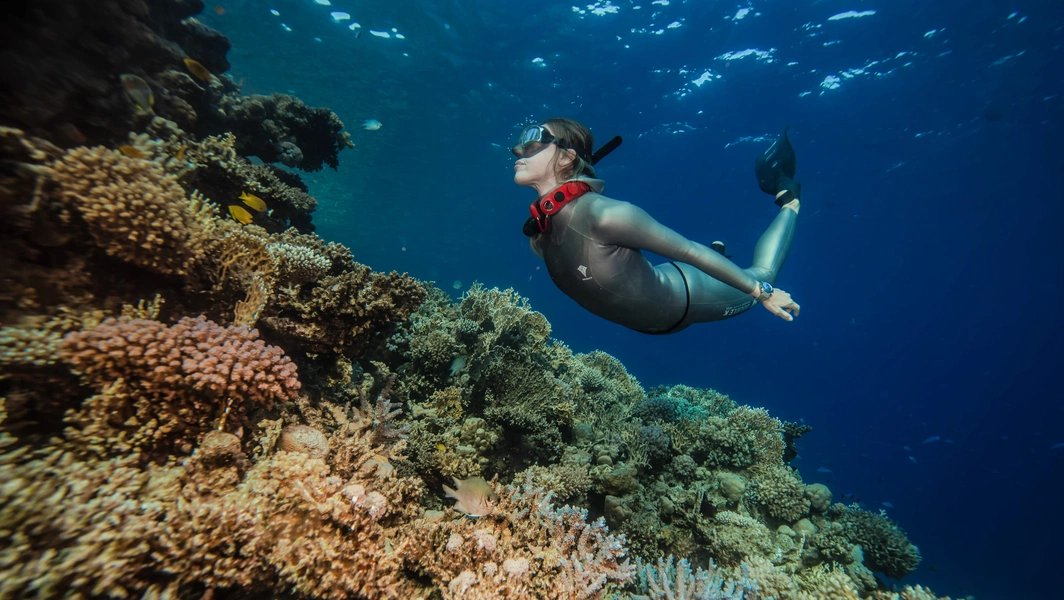 Safe and sustainable snorkeling and diving practices