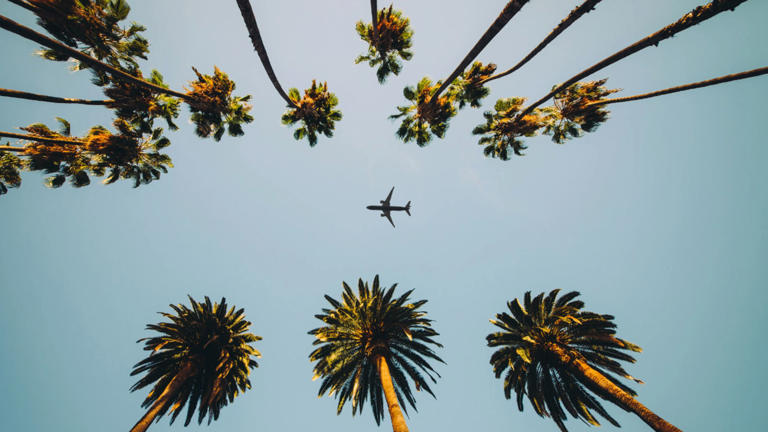 Air travel demand holds steady despite rising airfares