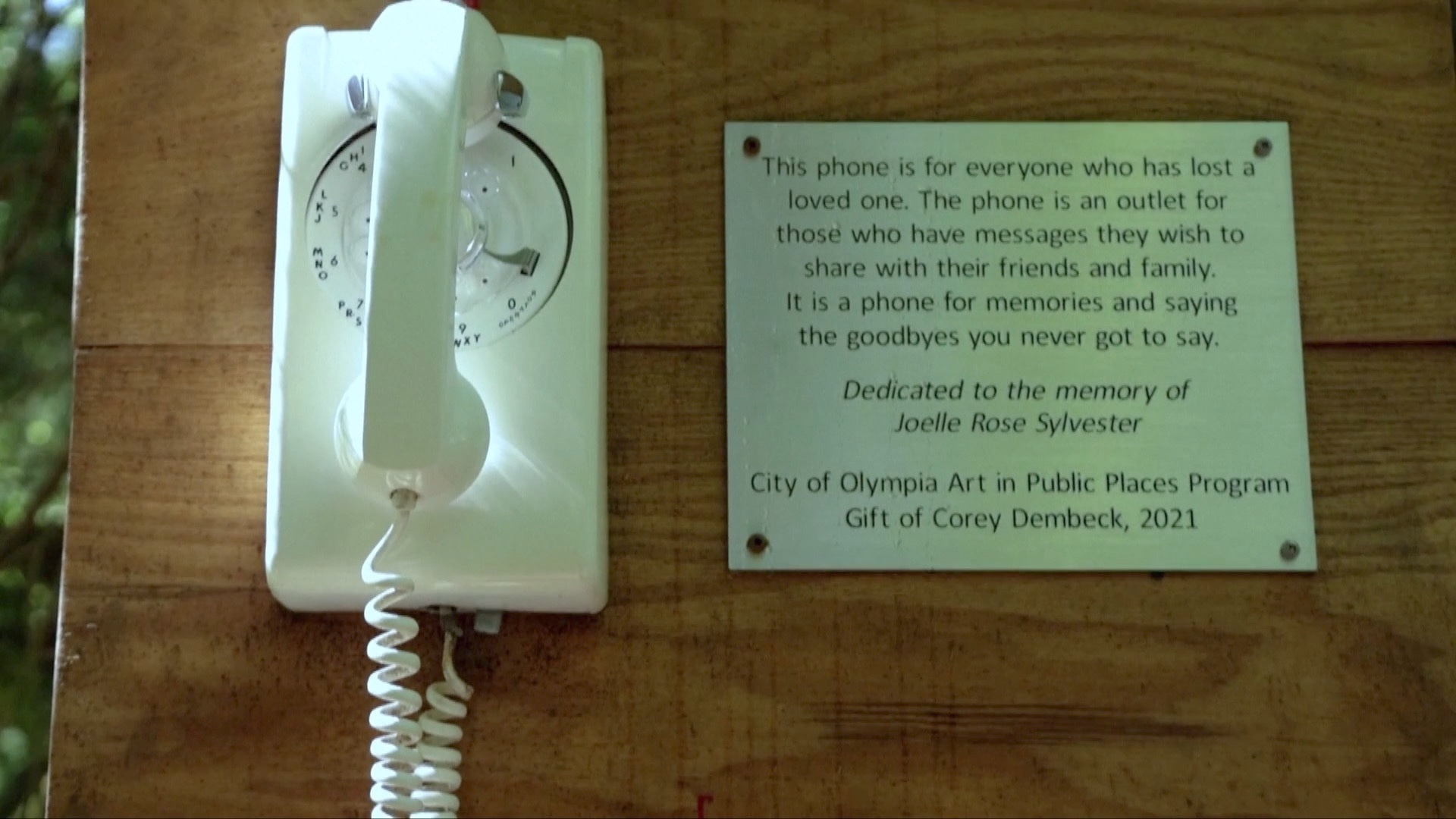 Behind the lifeline: How grieving families feel heaven near