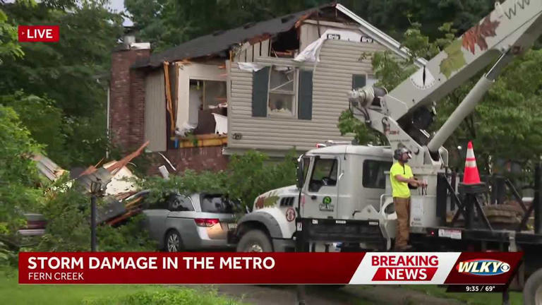 Family makes it out safe after large tree limb crashes through Fern ...