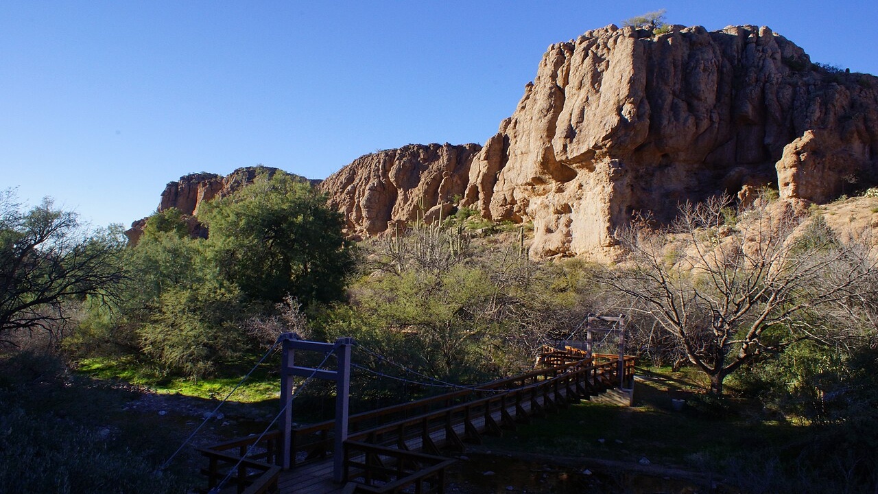 This 100-year-old Arizona garden grows desert plants from six ...