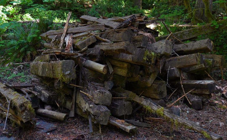What's next for beloved Yellowbottom campground, Quartzville corridor