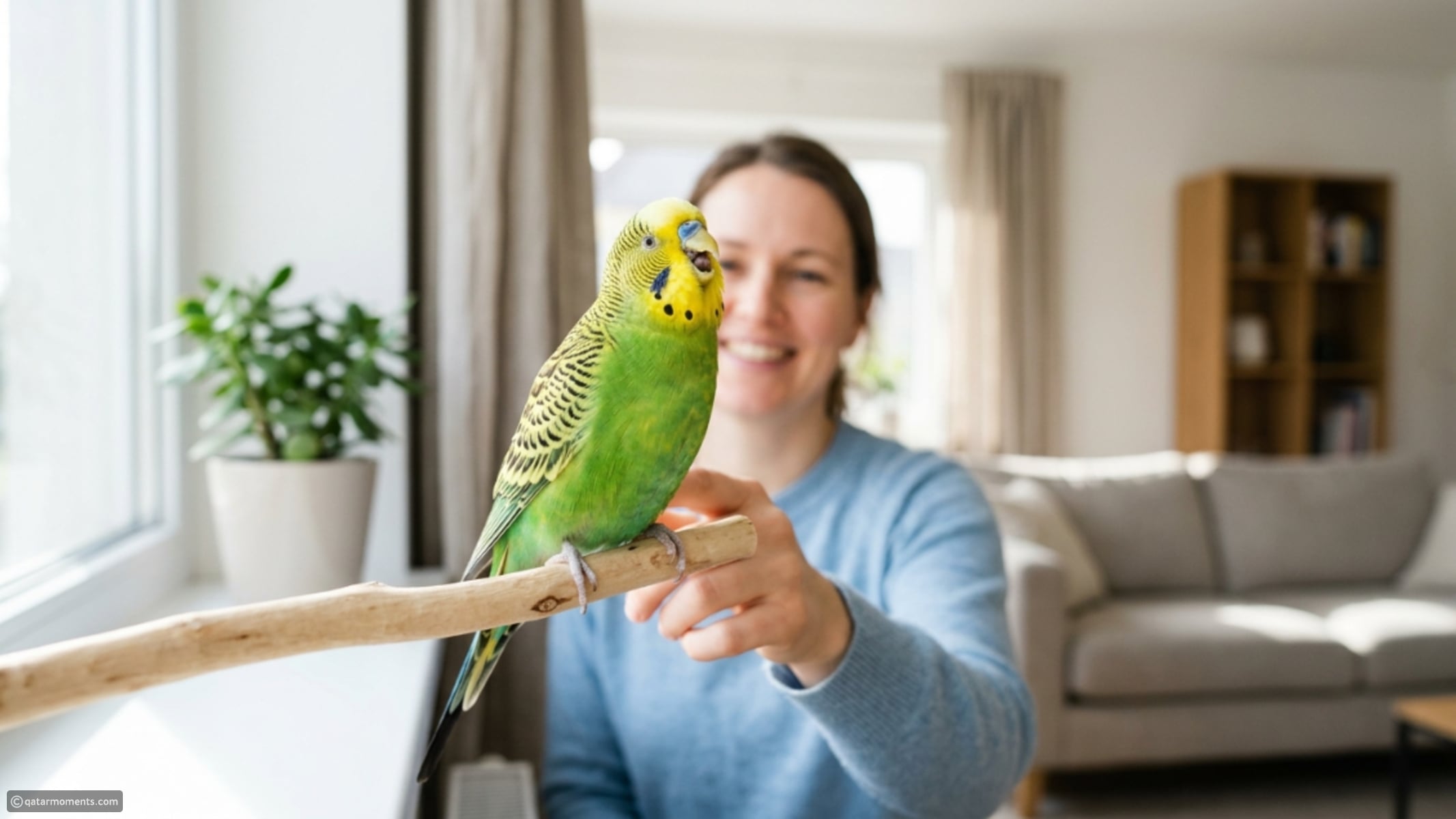 14 talkative birds that can keep conversations going