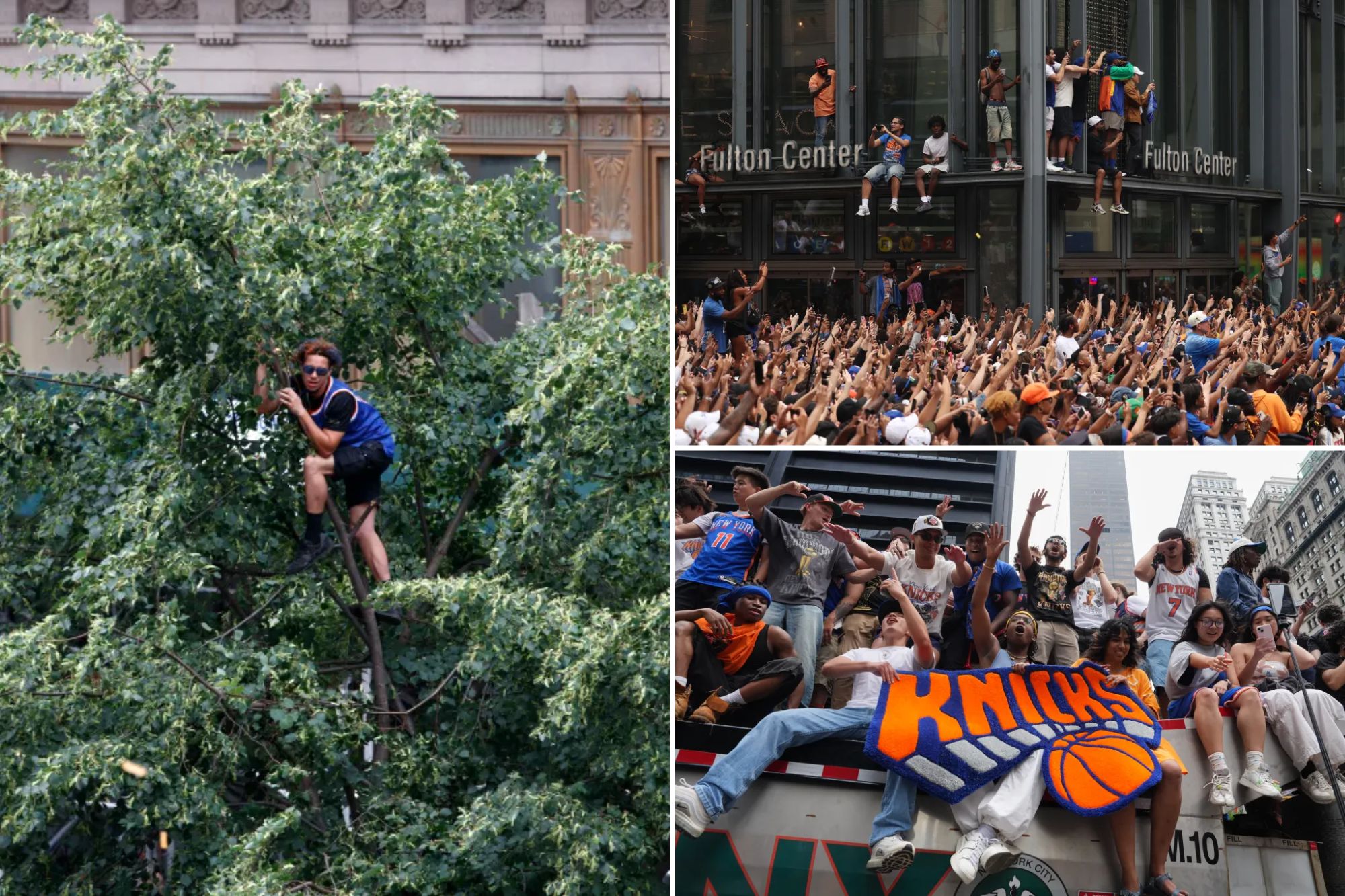 Diehard NYC Knicks fans climb trees, fire escapes, scaffolding and more ...