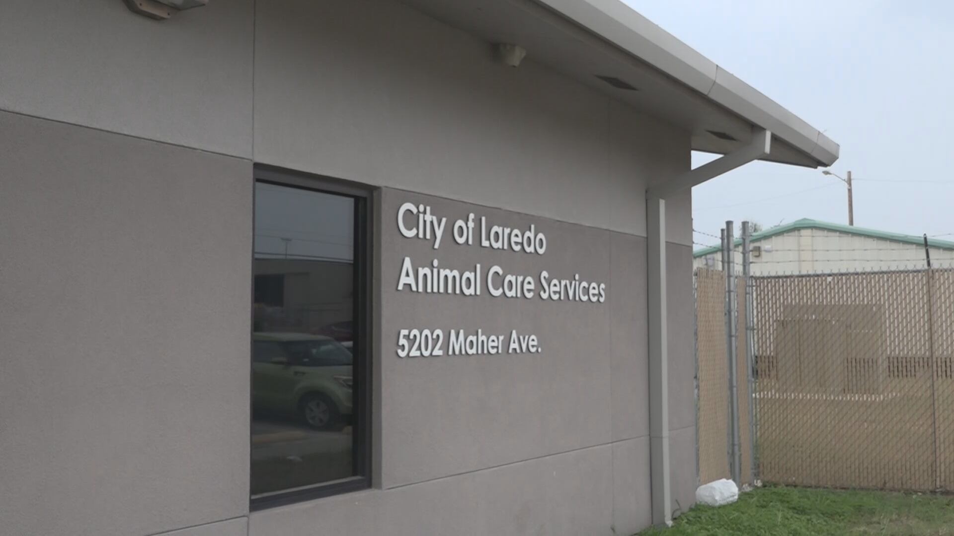 LACS offers sleepover program for shelter pets