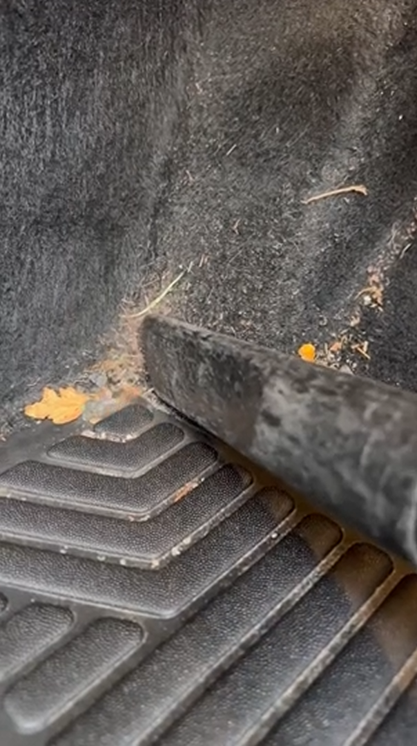 What professional detailing can do for a vehicle