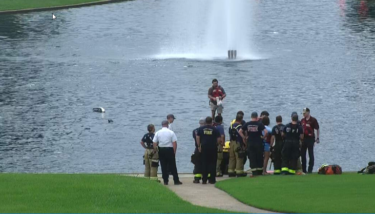 Video shows water rescue after car goes into pond off US 280