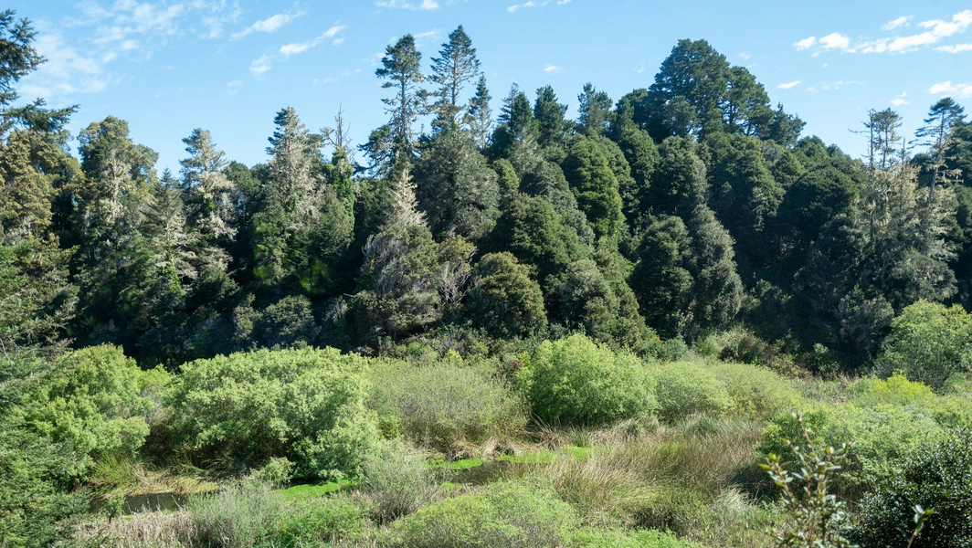 13 stunning state parks across the United States