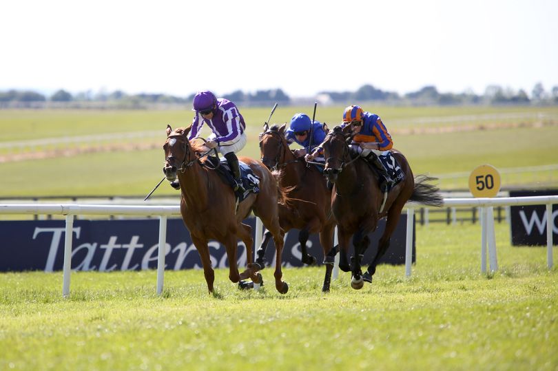 Royal Ascot 2026 day four: Precise can be queen in Coronation Stakes