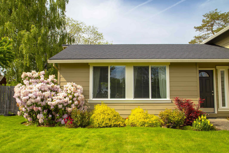 Yellow patches in your lawn? A lawn pro shares 4 things to look at first
