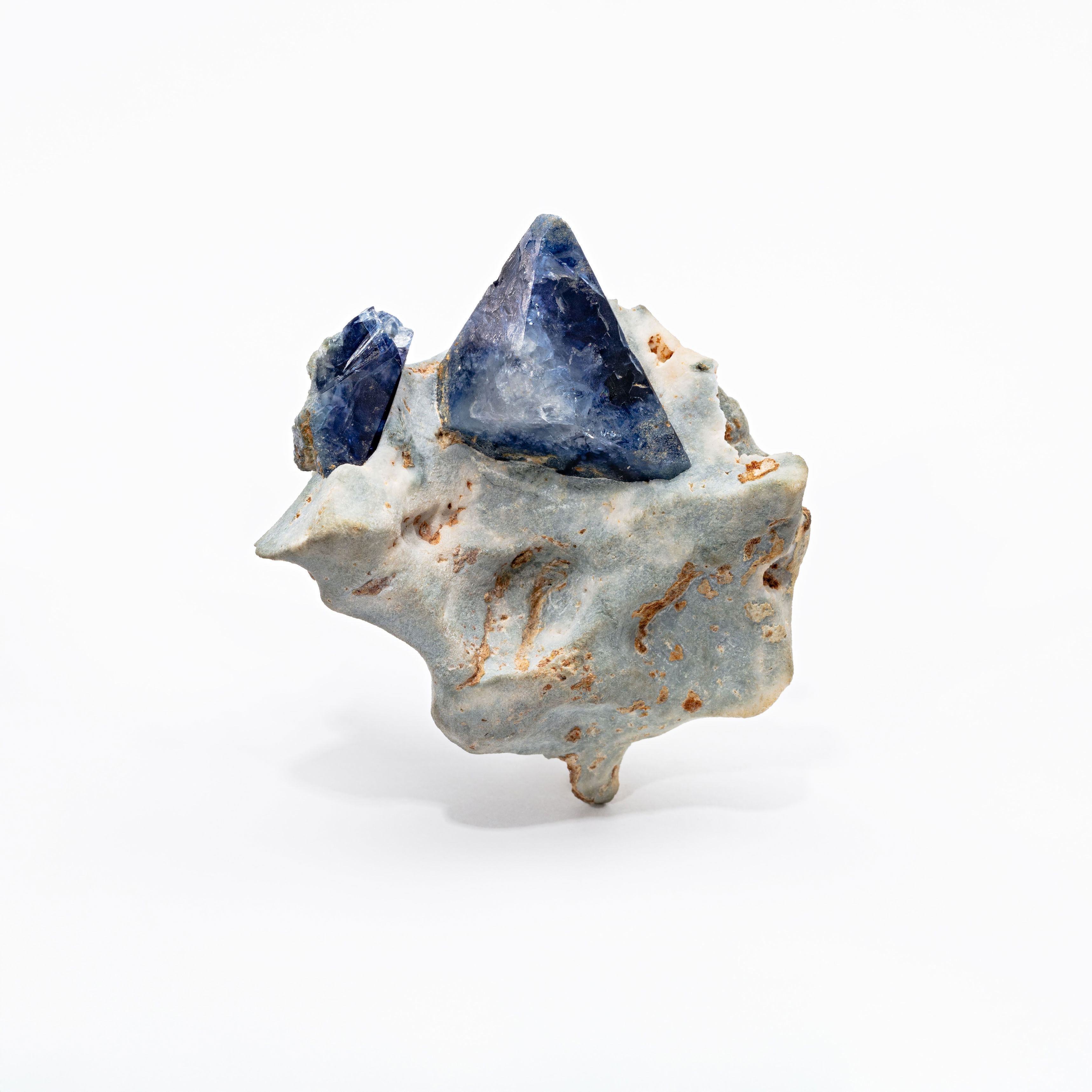 What natural history objects represent your state? You can find out in ...